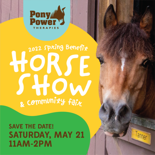 2022 Spring Benefit Horse Show and Community Fair - NJN